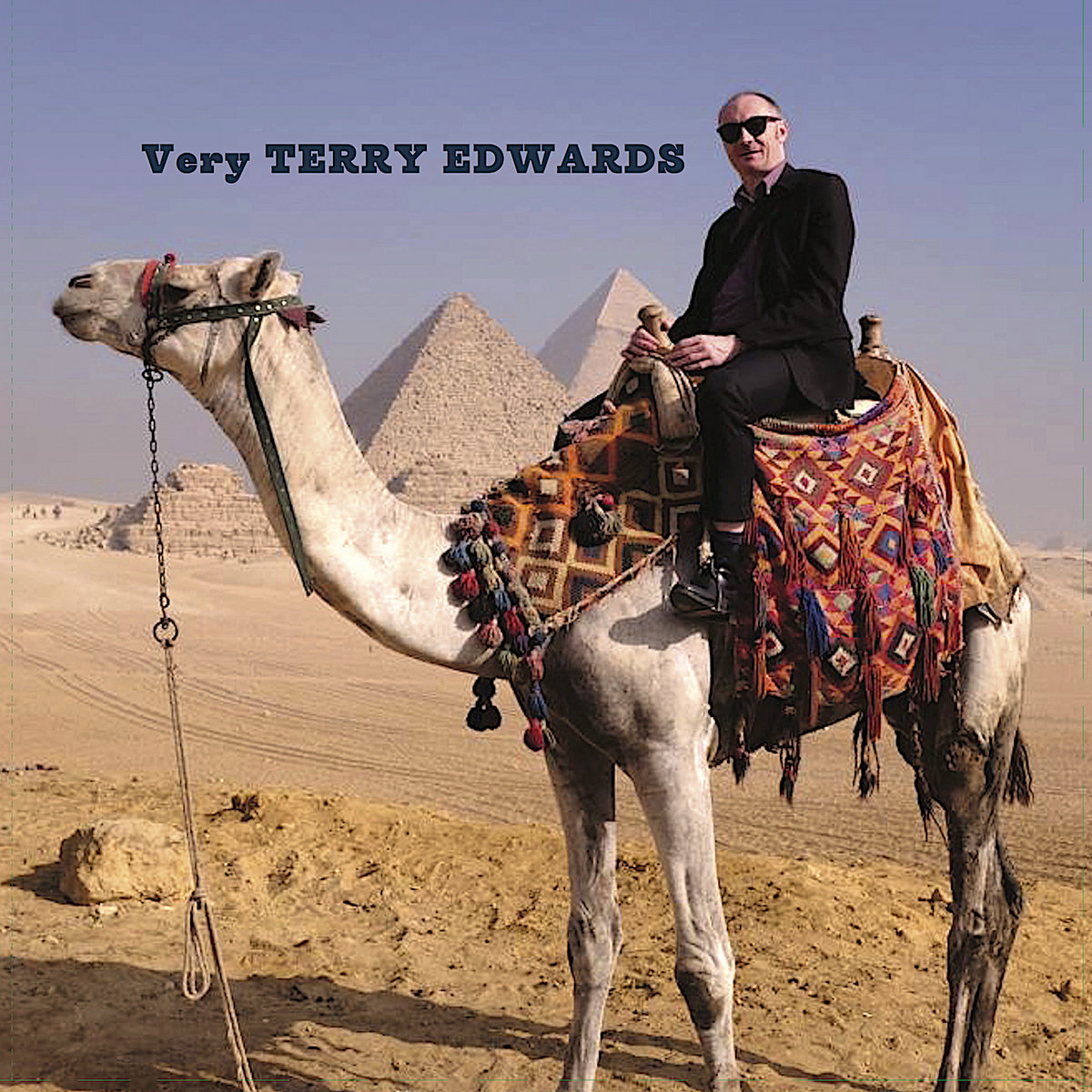 The Very Best of Very Terry Edwards | Terry Edwards