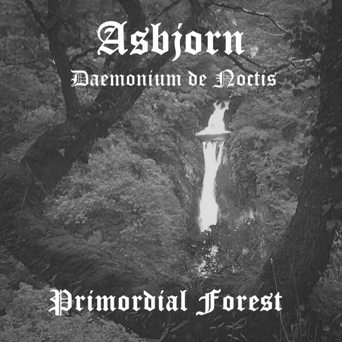 Primordial Forest | Asbjorn Daemonium de Noctis