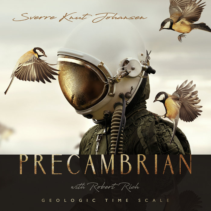 Precambrian (Earth's Geologic Time Scale Impact) | Sverre Knut Johansen
