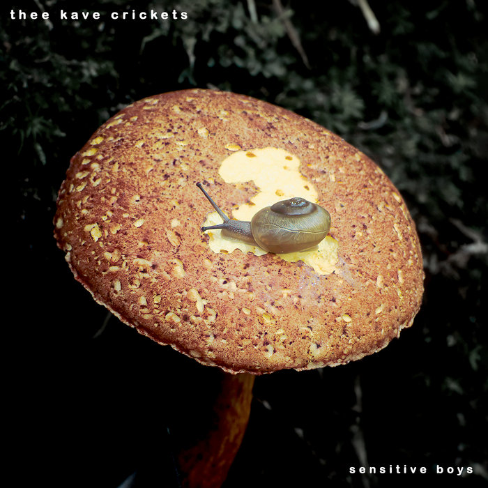 Sensitive Boys | Thee Kave Crickets