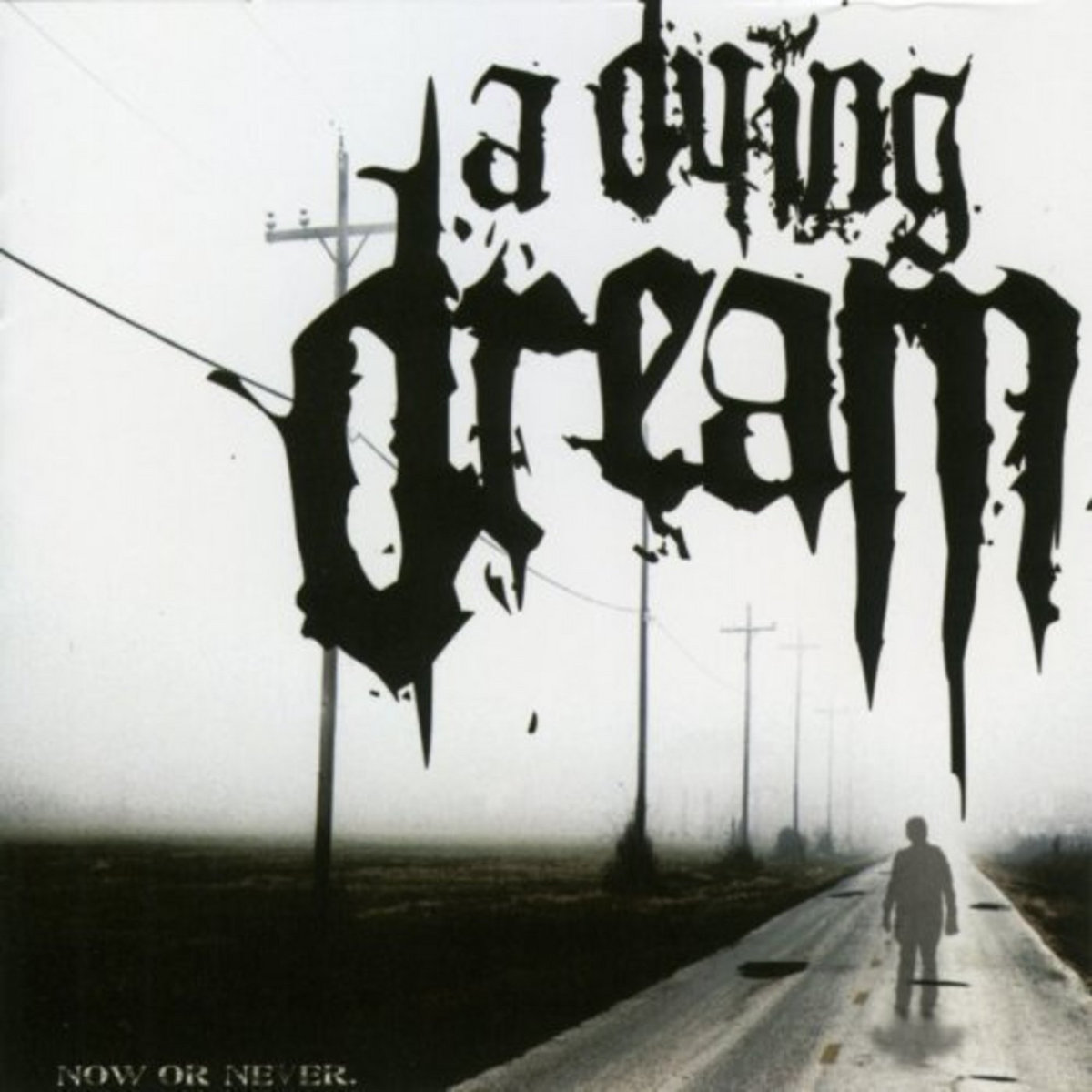 Now Or Never | A Dying Dream | Worn Down Records