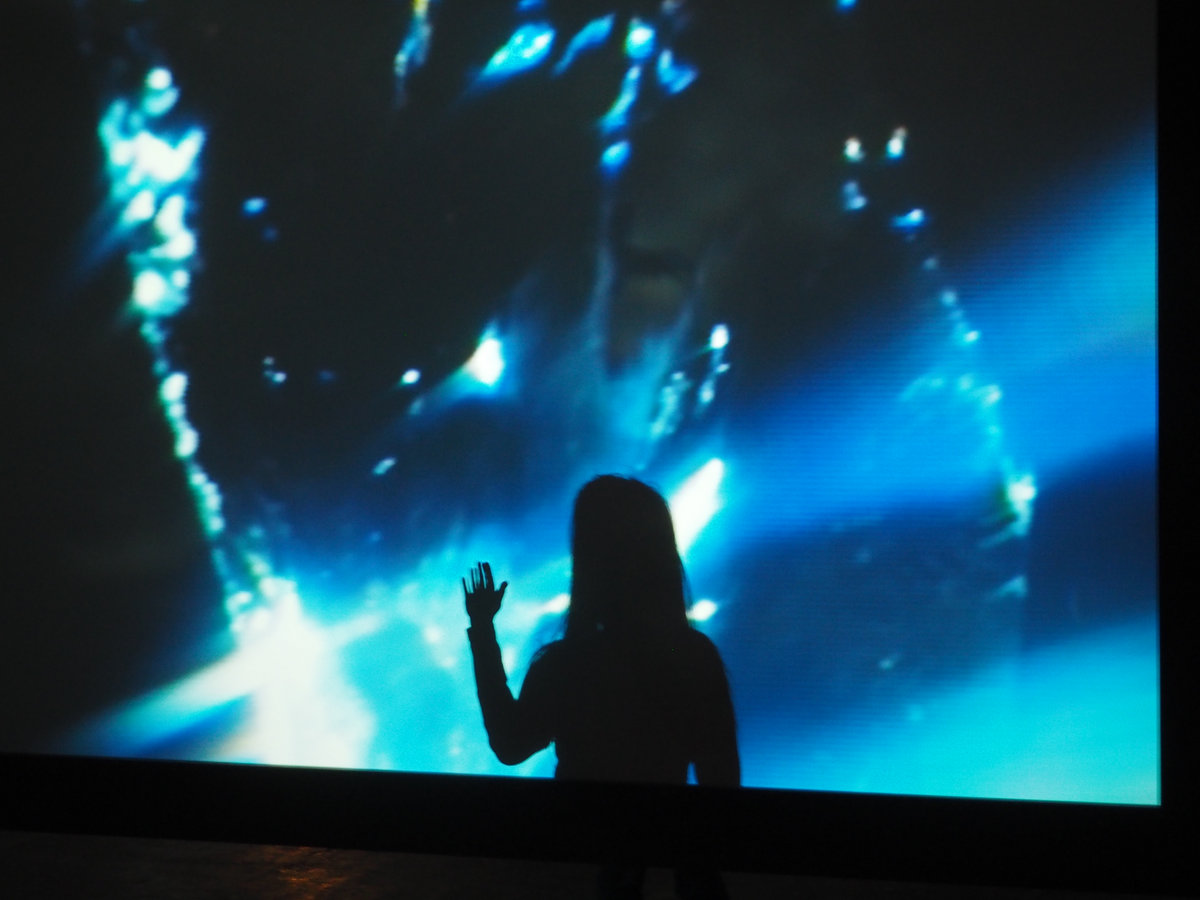 Bachmann Loops | Tim van Jul