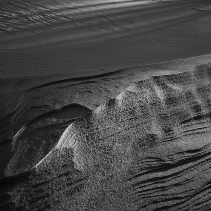 Angel VS. Austin | Versus Austin