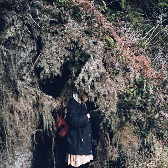 Sweetie | Haiku Charlie