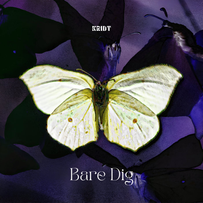 Bare Dig | Kridt band | KRIDT
