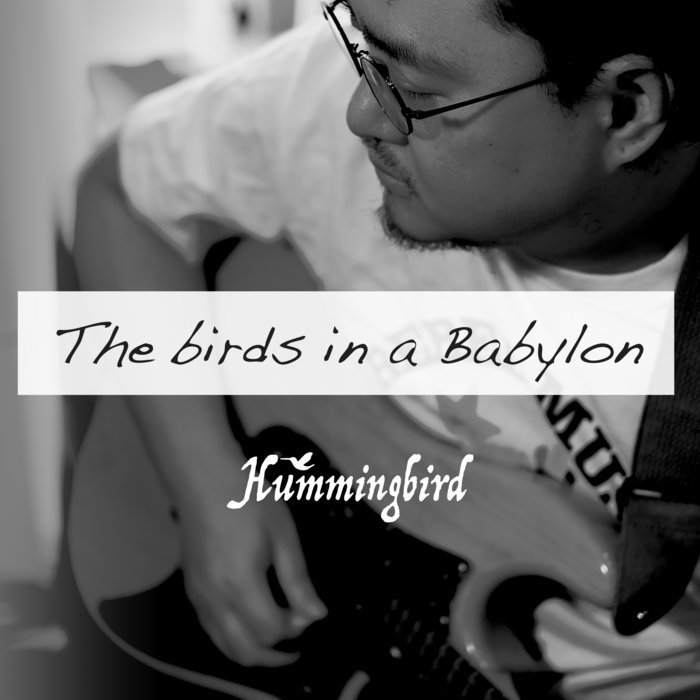 The birds in a Babylon | Hummingbird