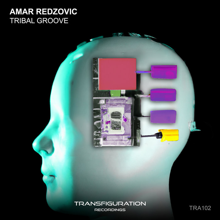 Tribal Groove | Amar Redzovic | Andy BSK
