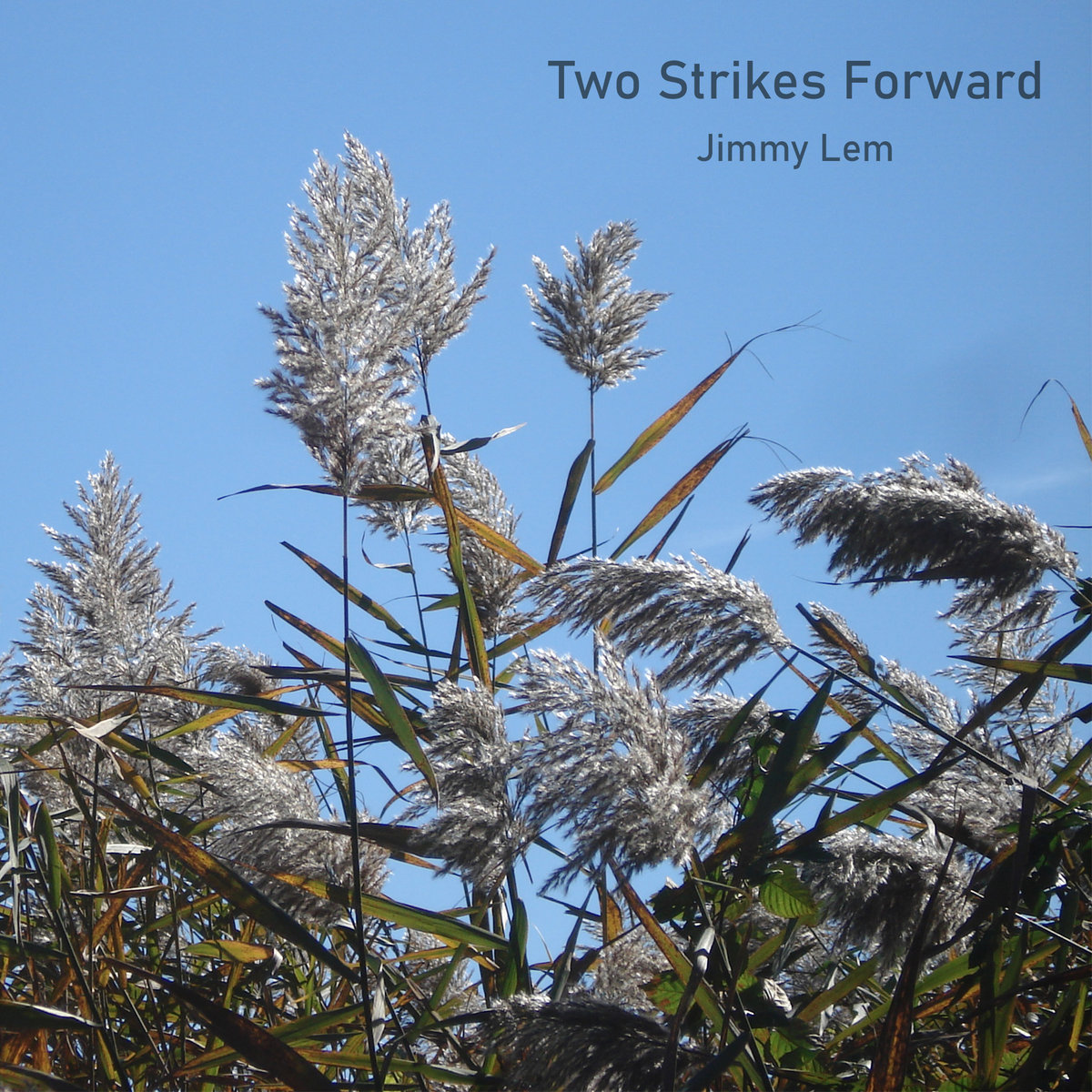 Two Strikes Forward | Jimmy Lem