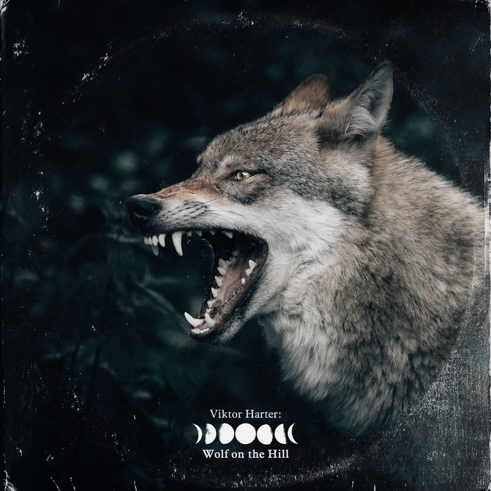 Wolf On The Hill | Viktor Harter