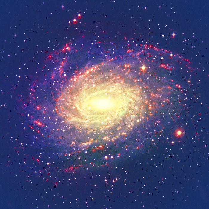 The Stars Of Outer Space | Jonny Trengrove