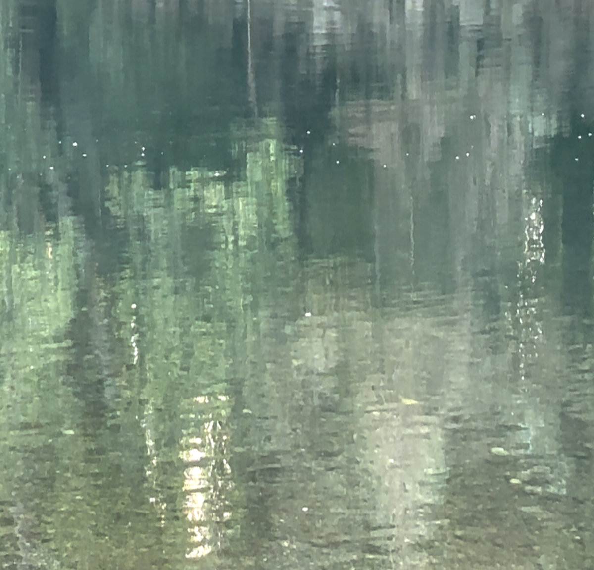 puntledge river | Anne Bourne