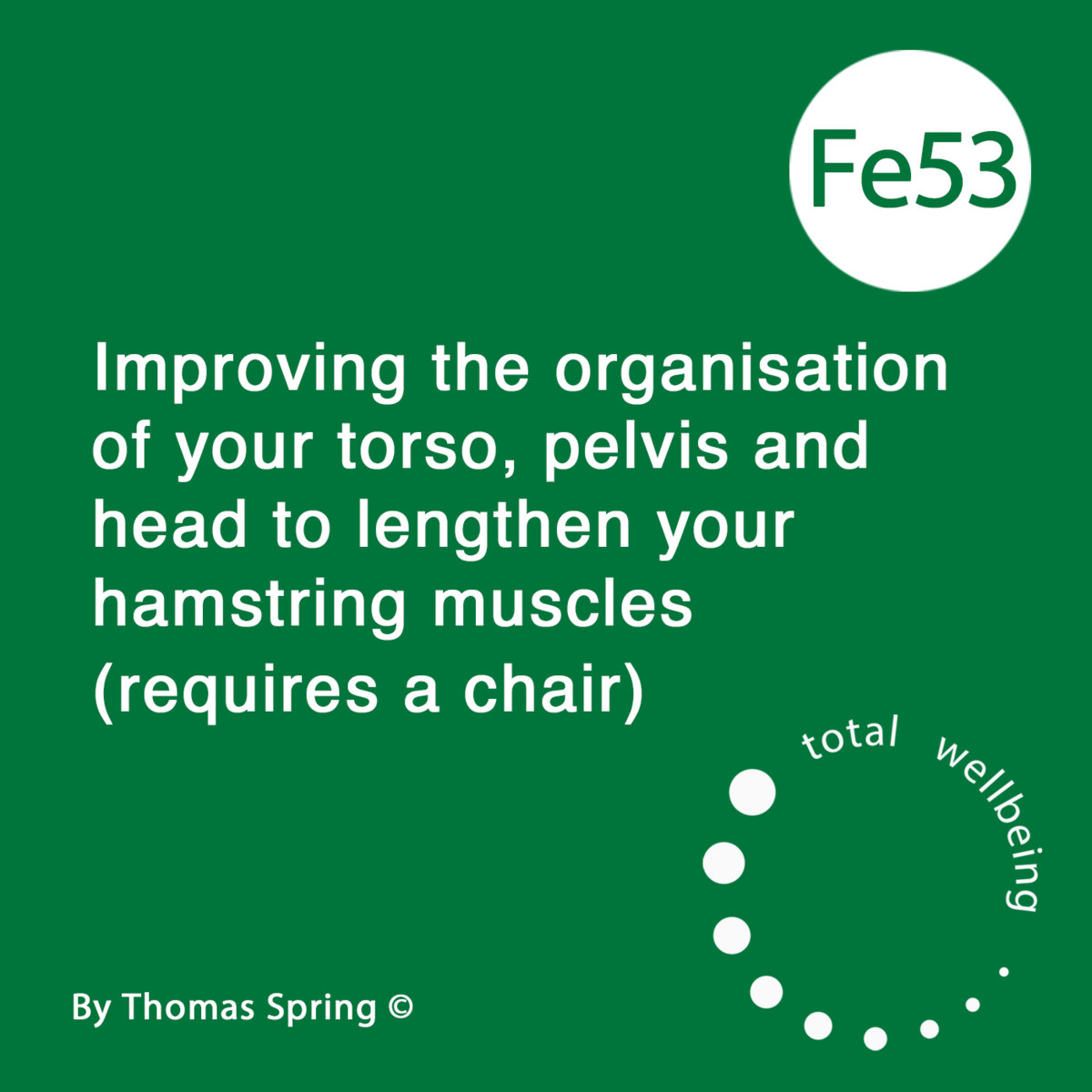 Fe53 Improving the organisation of your torso, pelvis and head to ...