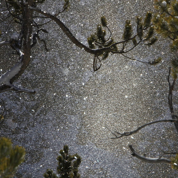 Fairyland | Joseph Benzola & Dave Seidel | Dave Seidel