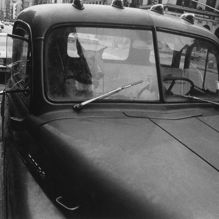 That Bird Always Comes Back | pete Simonelli | Aluminium Press