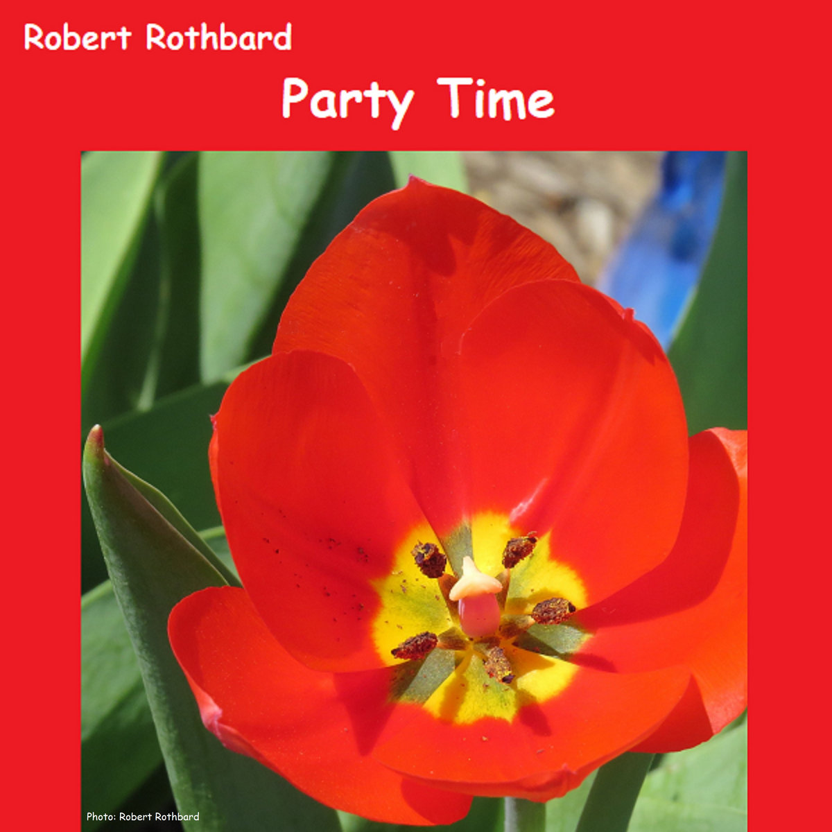 Party Time | Robert Rothbard