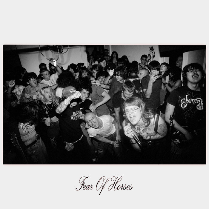 Fear of Horses | Fear of Horses