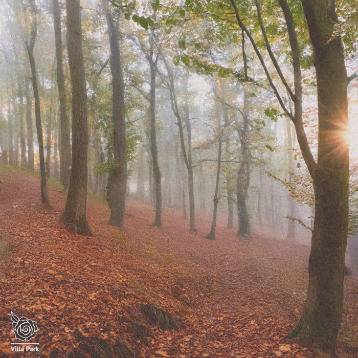 Whispering | A Blue Rose Case