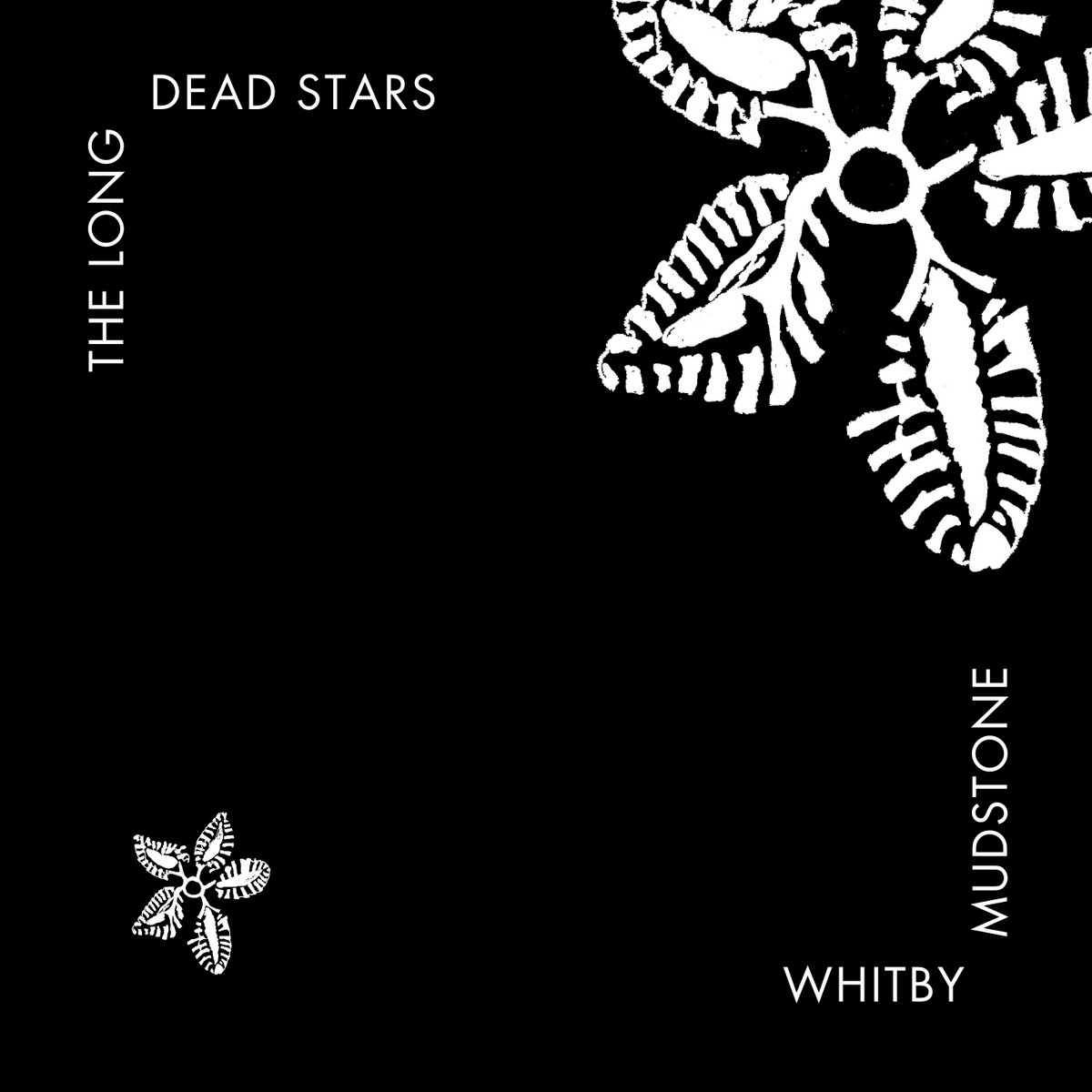 Whitby Mudstone | The Long Dead Stars