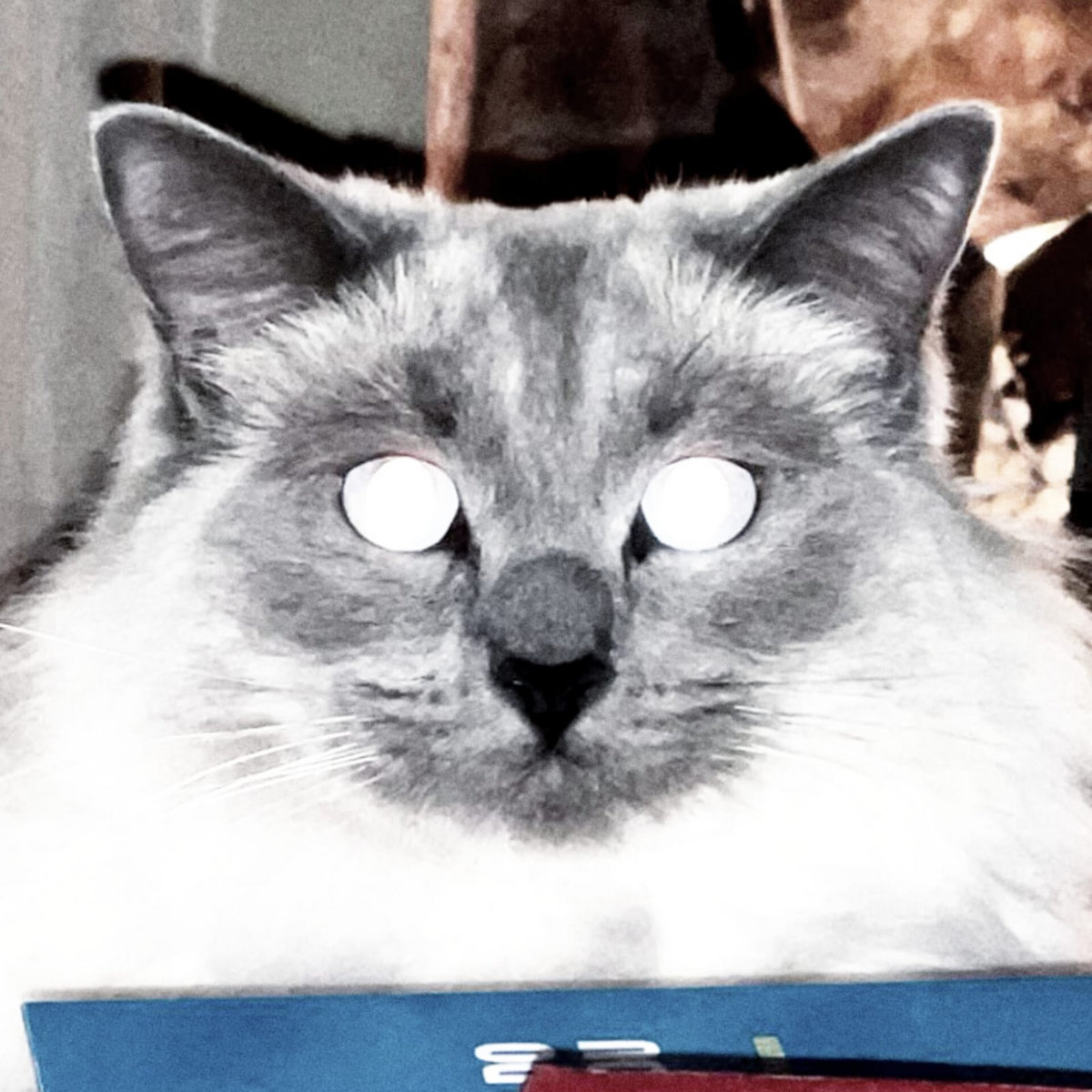 All Seeing Eyes EP | The Jinjah