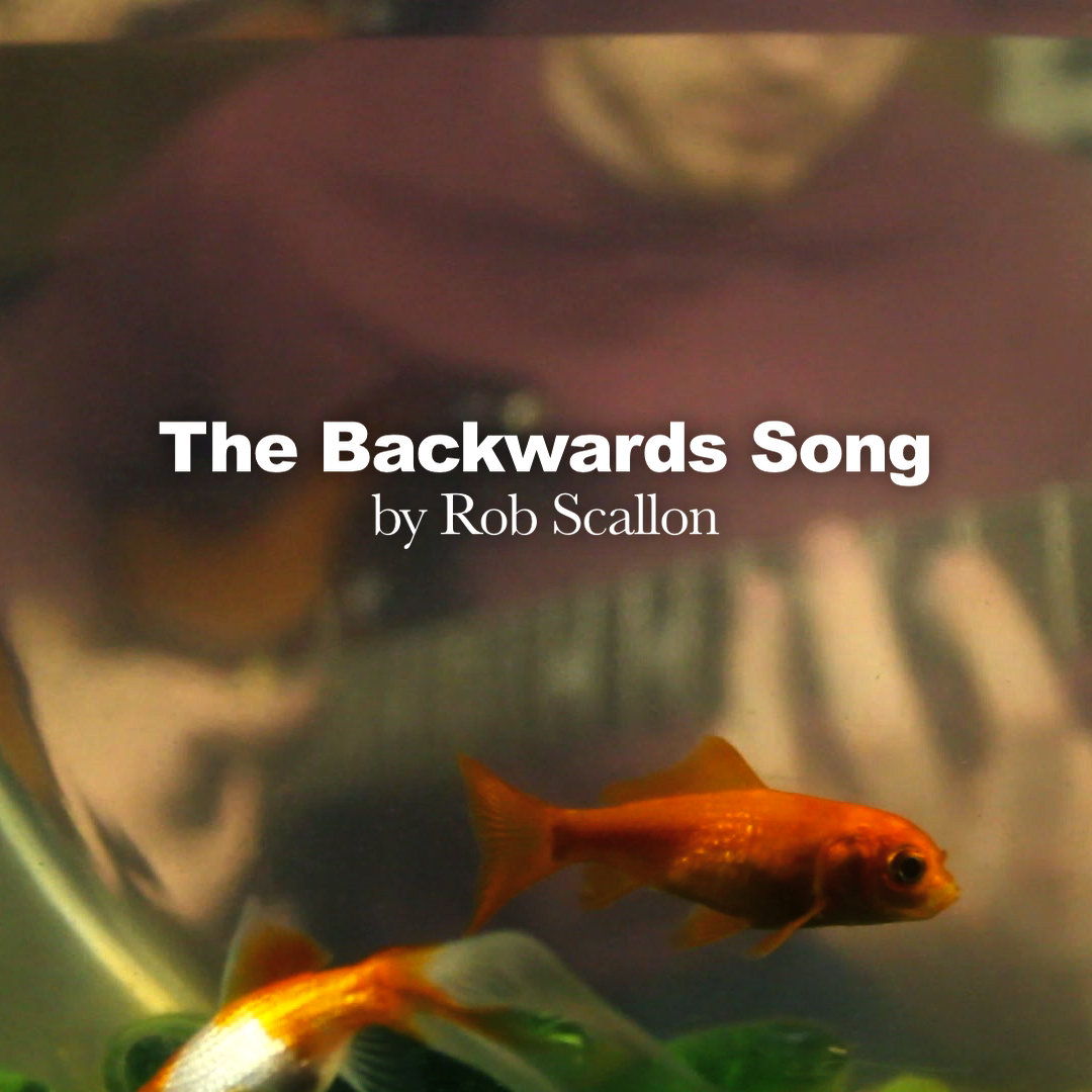 The Backwards Song | Rob Scallon