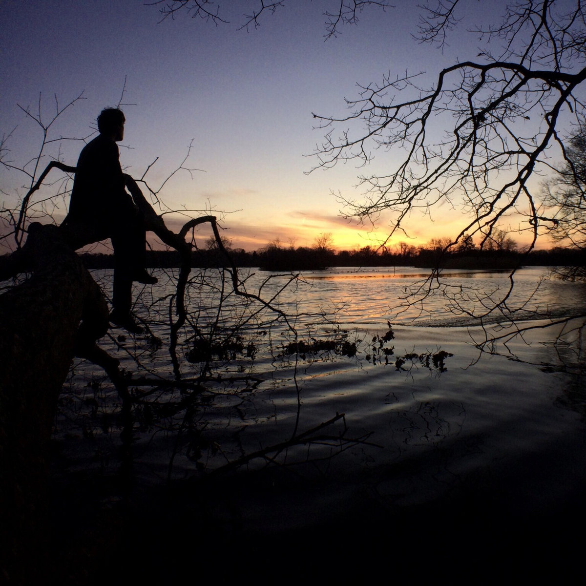 Flowers and Cats | Ben McCormick