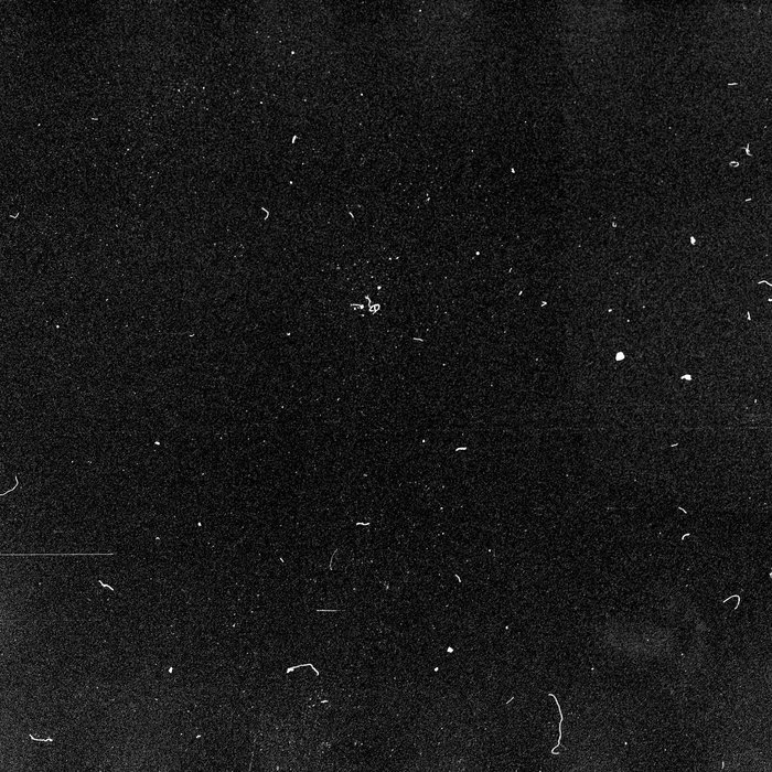 Still Nothing | Wombed