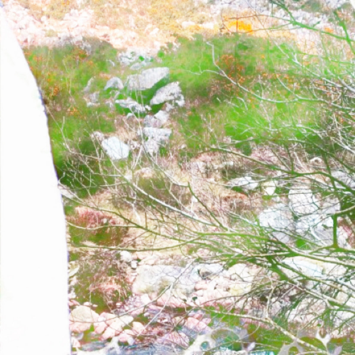 weird tunes I made in me room | shrunk jumper