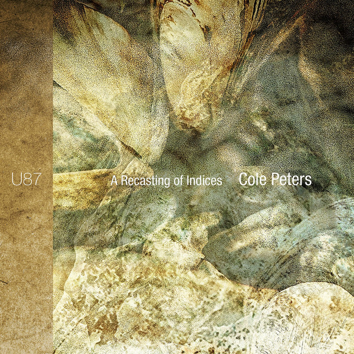 A Recasting of Indices | Cole Peters