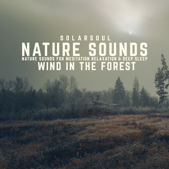 Nature Sounds: Wind in the Forest Sounds for Meditation, Relaxation ...