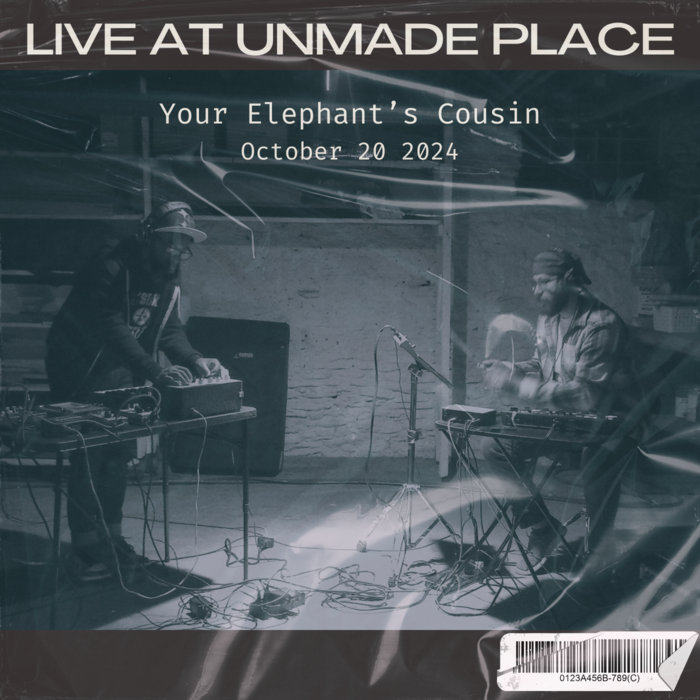Live at Unmade Place: Your Elephant's Cousin | Hellcat Sneer