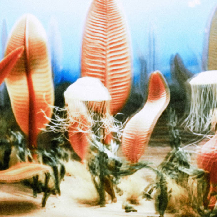 Trapping Out The Ediacaran Period | sigmawave | Bedlam Tapes