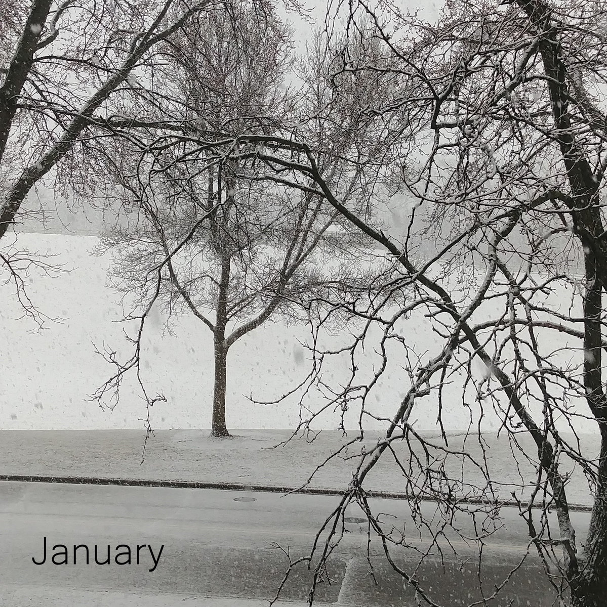 January | Tom Harter