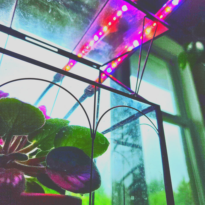 AS IT WAS IN THE BEGINNING, IS NOW, AND CAN BE | Ben Wolfe