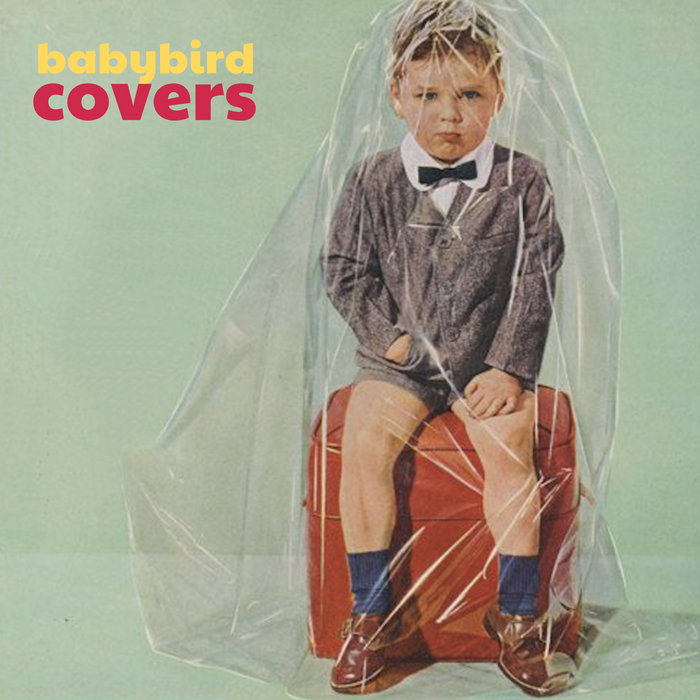 COVERS | babybird