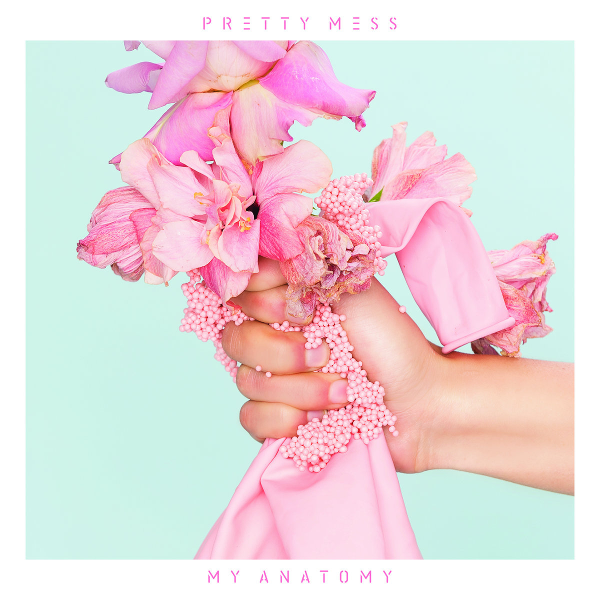 My Anatomy | Pretty Mess