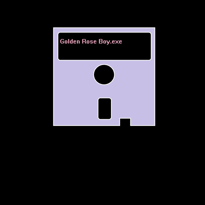 Floppy Disk | Golden Rose Boy