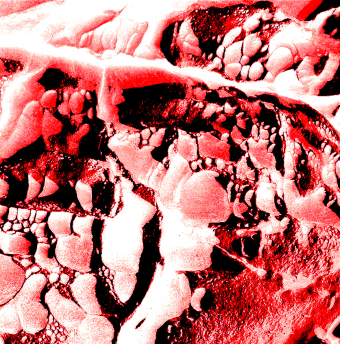 COUTEAU LATEX - D é cadanse | USELESS EATERS