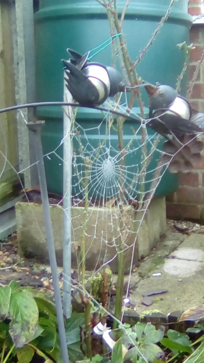 Adrian Indoors plus | Adrian Howes plus "the" Bogeymen | Harnser & "the ...