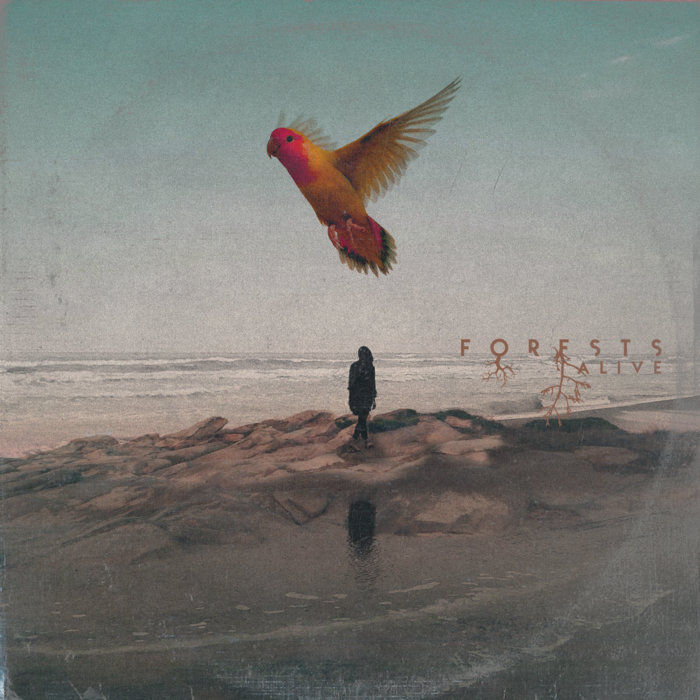 The skies breath in unison | Forests Alive