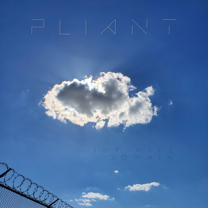 Infinite Domain | Pliant