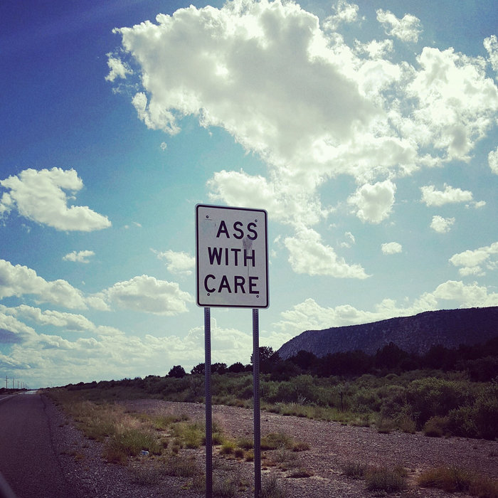 Skinwalk | The Joy Pops