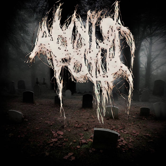 Open Grave At Night