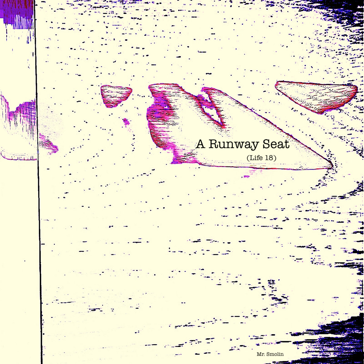 A Runway Seat (Life 18) | Mr. Smolin