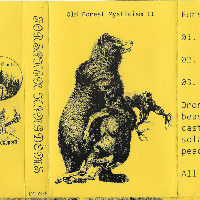 Old Forest Mysticism II | Forsaken Kingdoms | Coniferous Myst