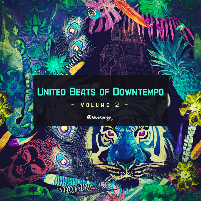 United Beats of Downtempo Vol. 2 | Various Artists | Blue Tunes Chillout