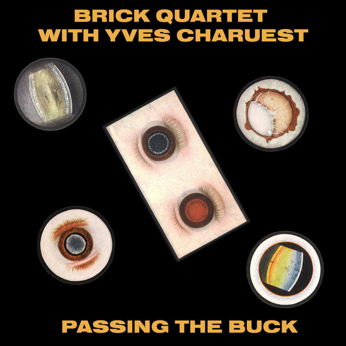 Passing The Buck Brick Quartet With Yves Charuest Small Scale Music 1247