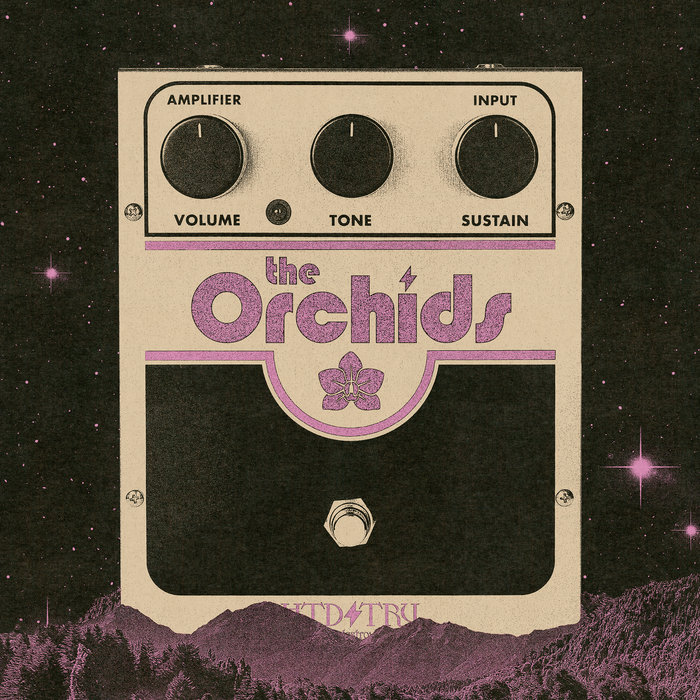 The Orchids | The Orchids