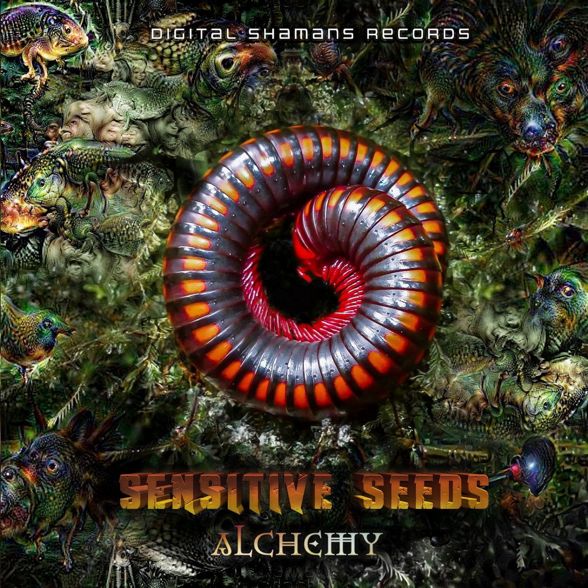 Alchemy | Sensitive Seeds & Earthworm (Digital Shamans Records ...