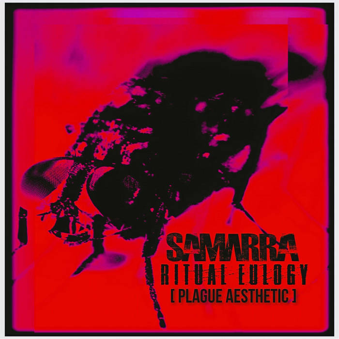 Plague Aesthetic | Ritual Eulogy/Samarra | Ritual Eulogy
