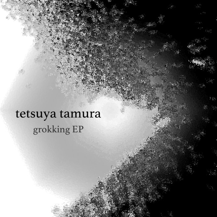 grokking EP | tetsuya tamura | Tetsuya Tamura